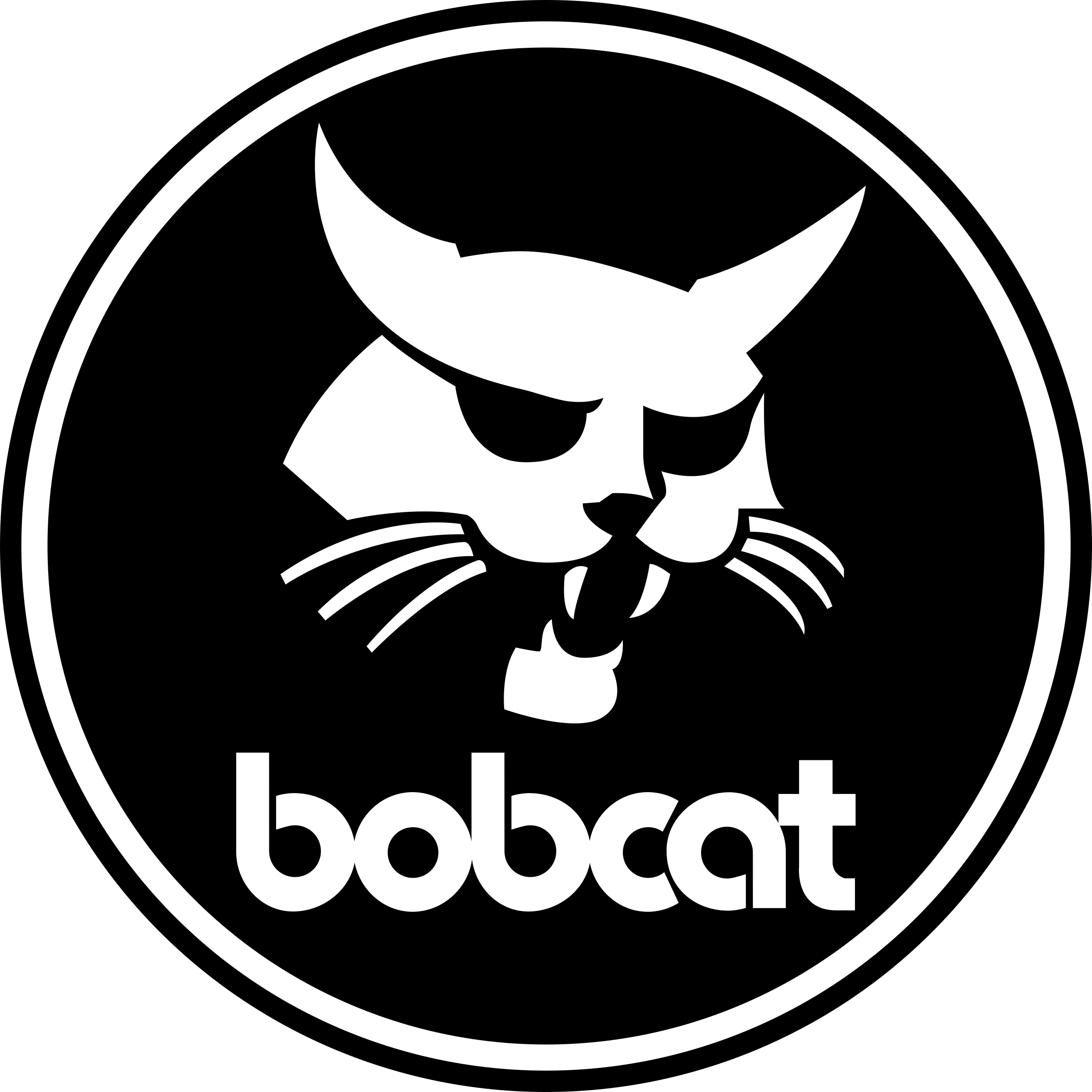 Bobcat Diagnostic Software & Tools Collection – AutoSofts